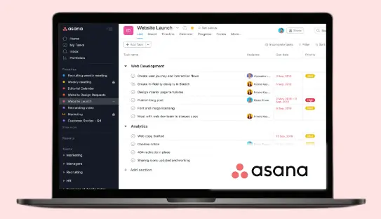 Our Asana Portfolio | Red Star Technologies